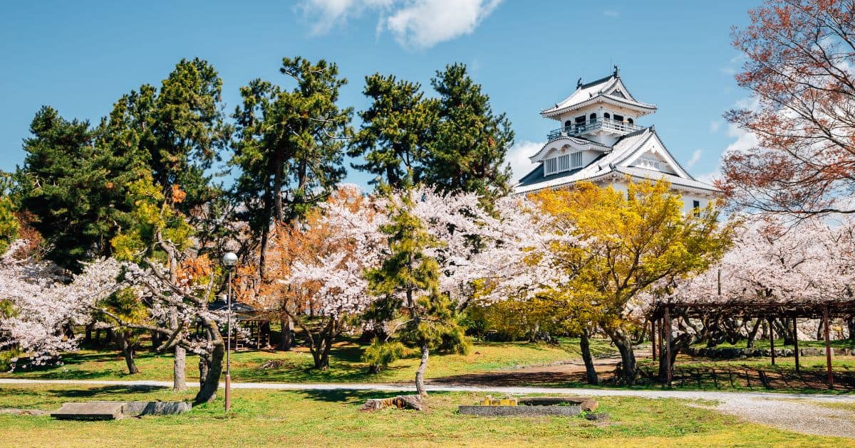 Maplopo Tuition: Flexible Plans for Immersive Japanese Learning